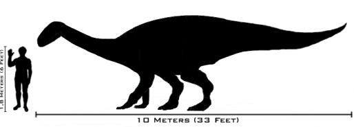 A Brief Overview of the Dinosaurs: Part 4, Sauropoda – Cinemotic